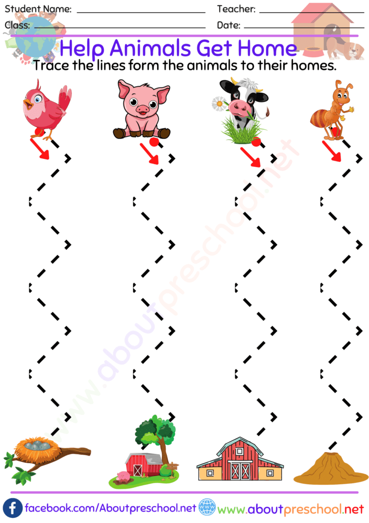 Animals and Their Homes Matching-7 - About Preschool