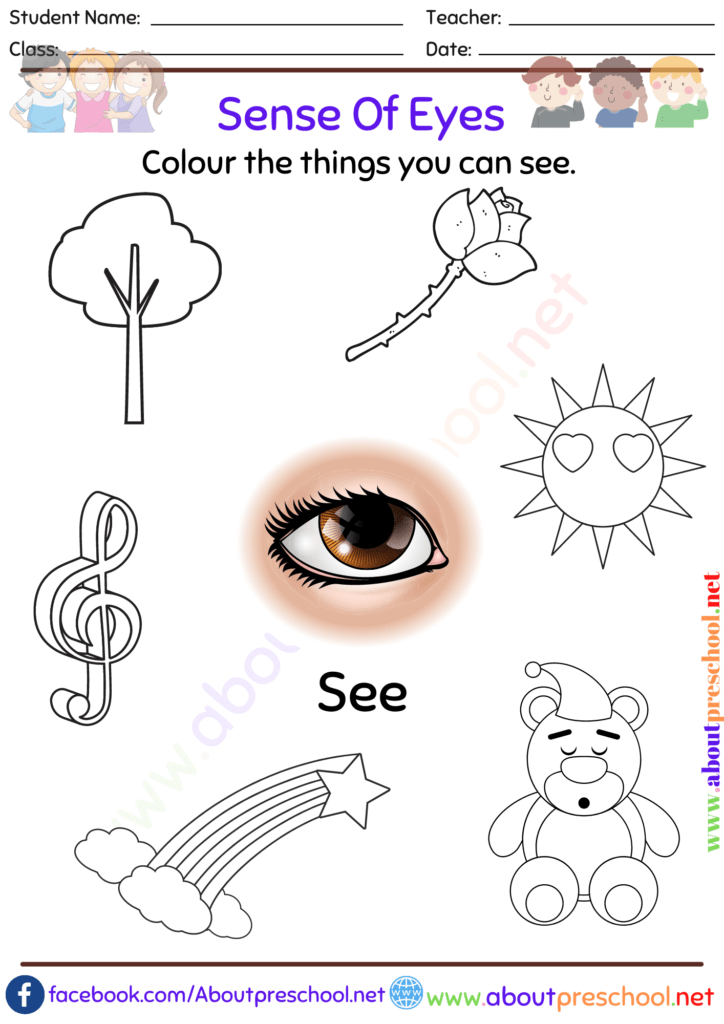 What Are The 5 Senses-See - About Preschool