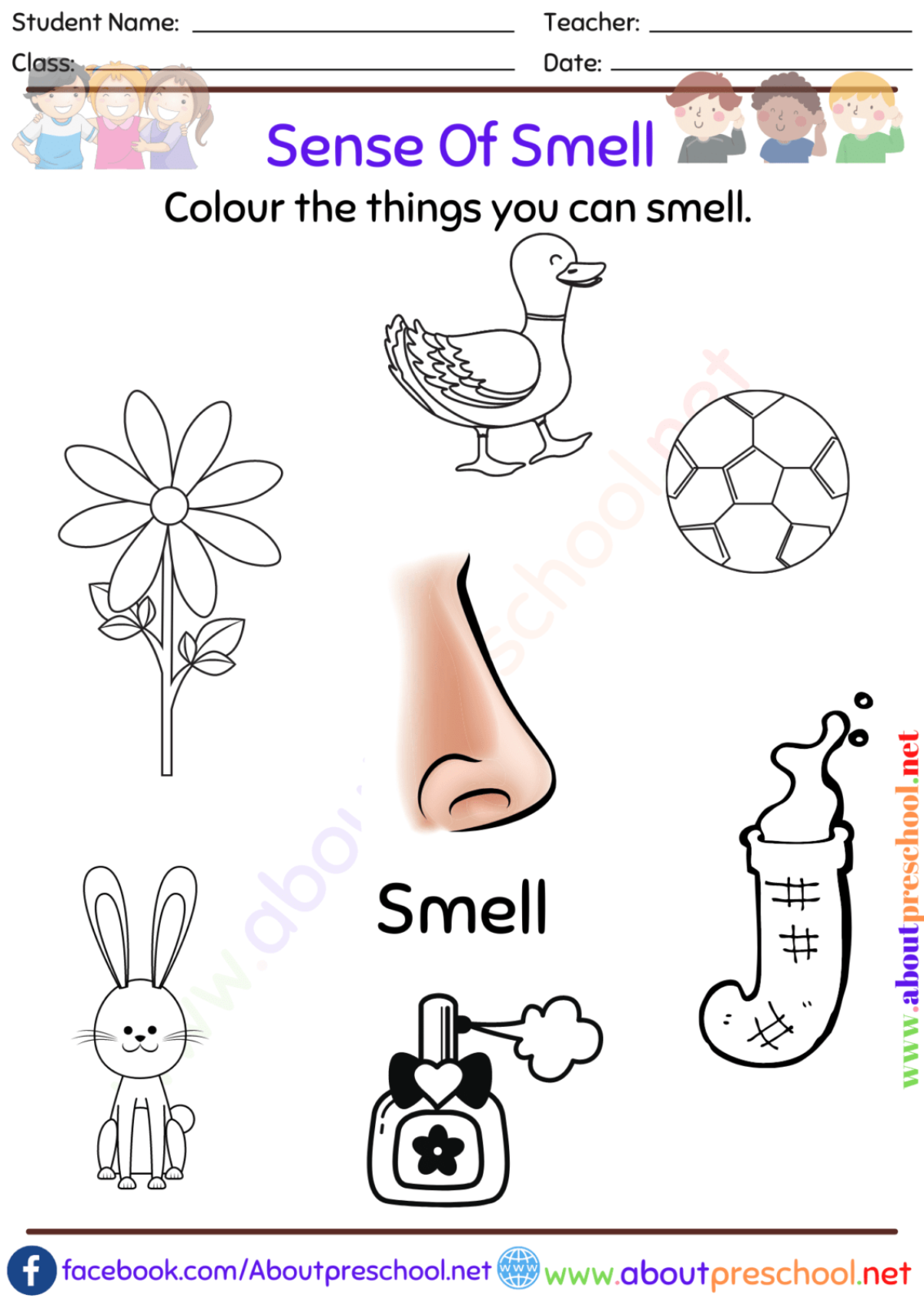 Five Senses Worksheets For Toddlers Five Senses Worksheets 15
