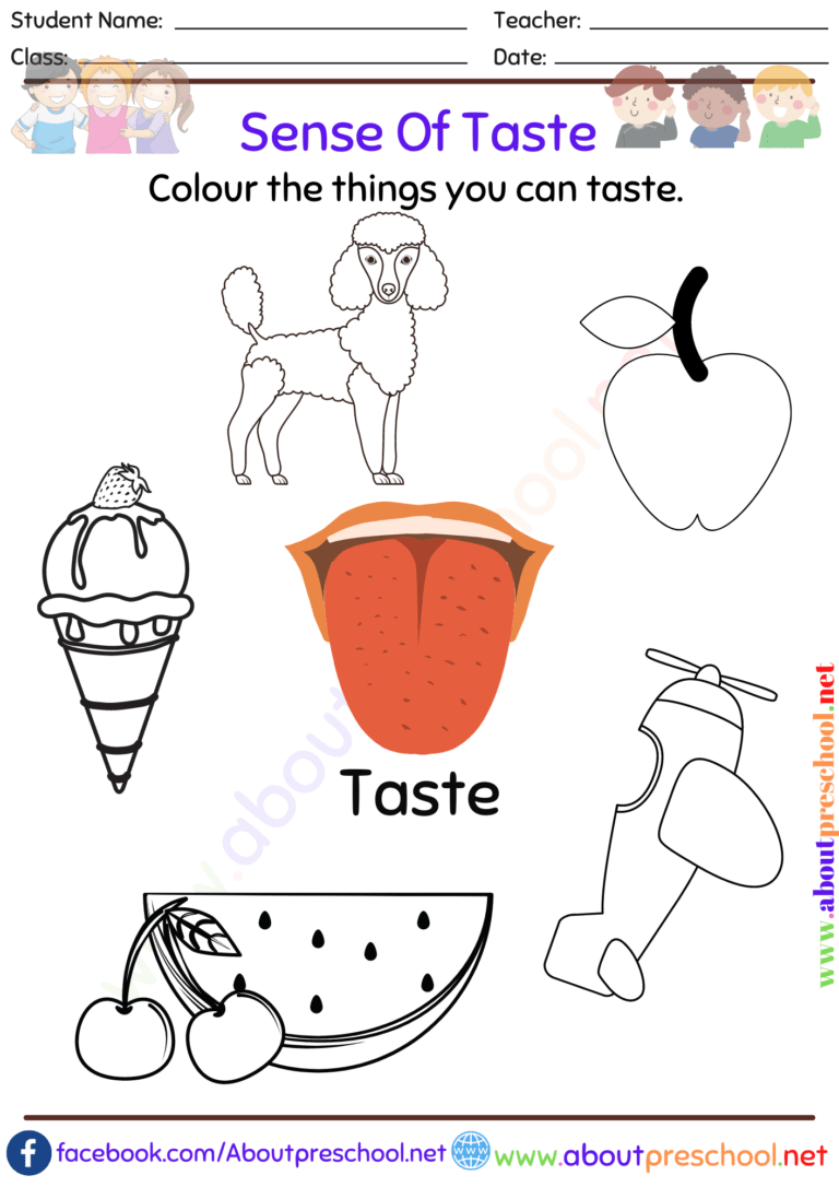 What Are The 5 Senses-Taste - About Preschool