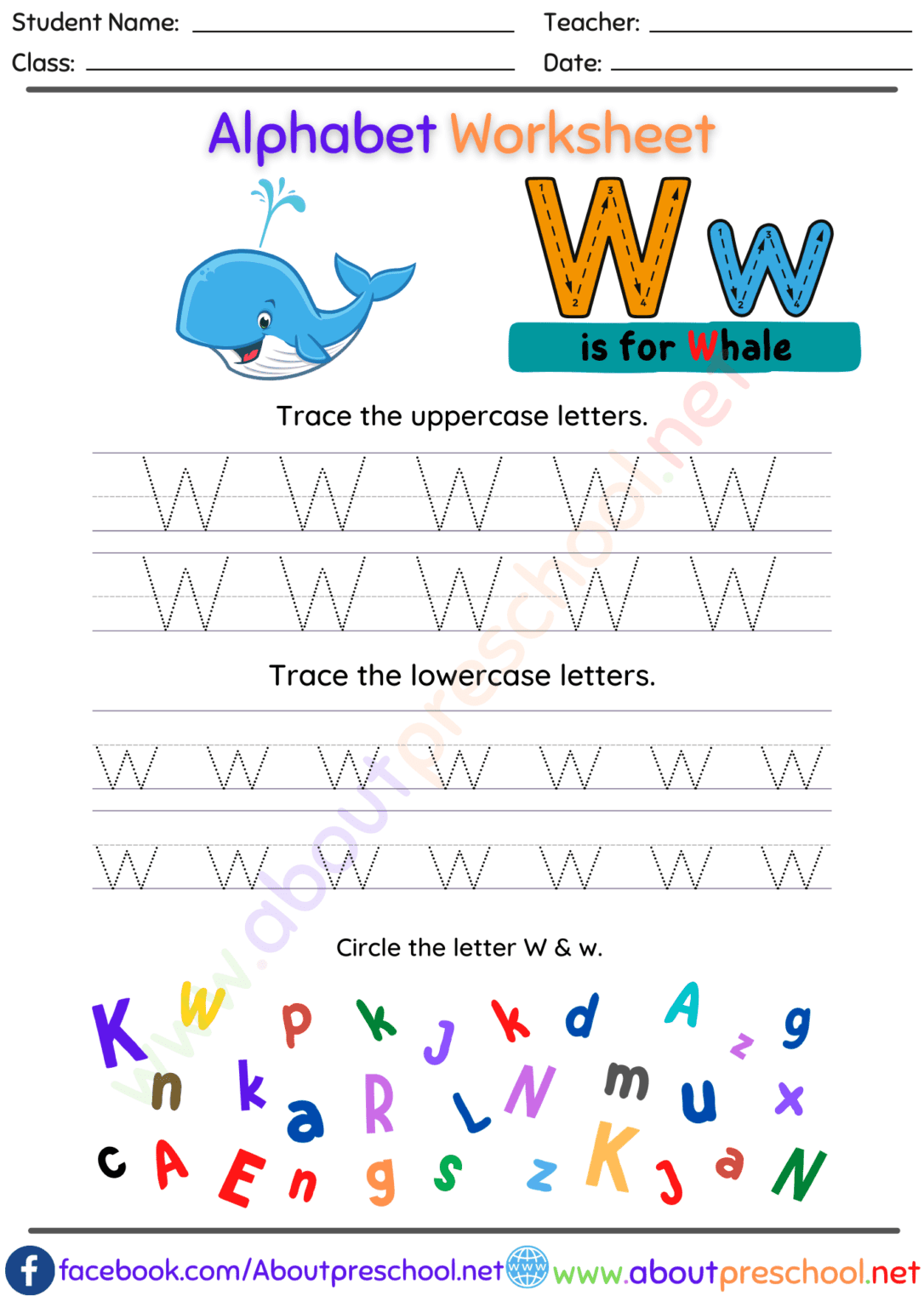 Trace Letter w Worksheets - About Preschool